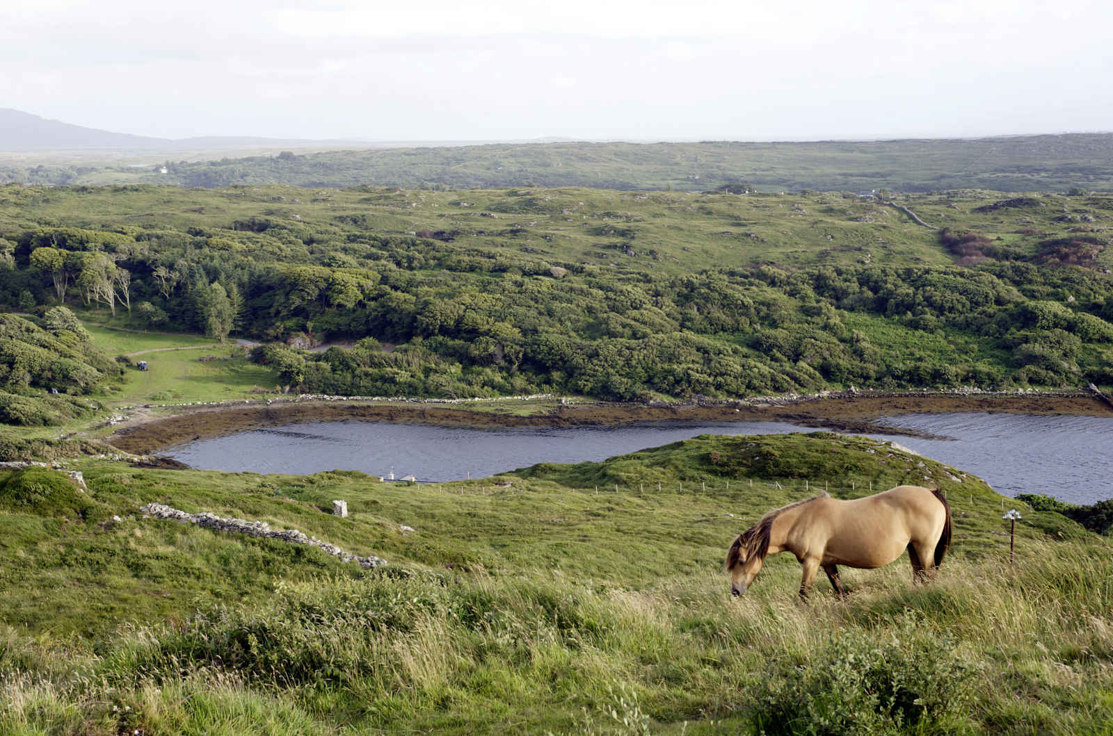 Balade irlandaise : Découvrez Irlande - Connemara - Kerry - Clare ...